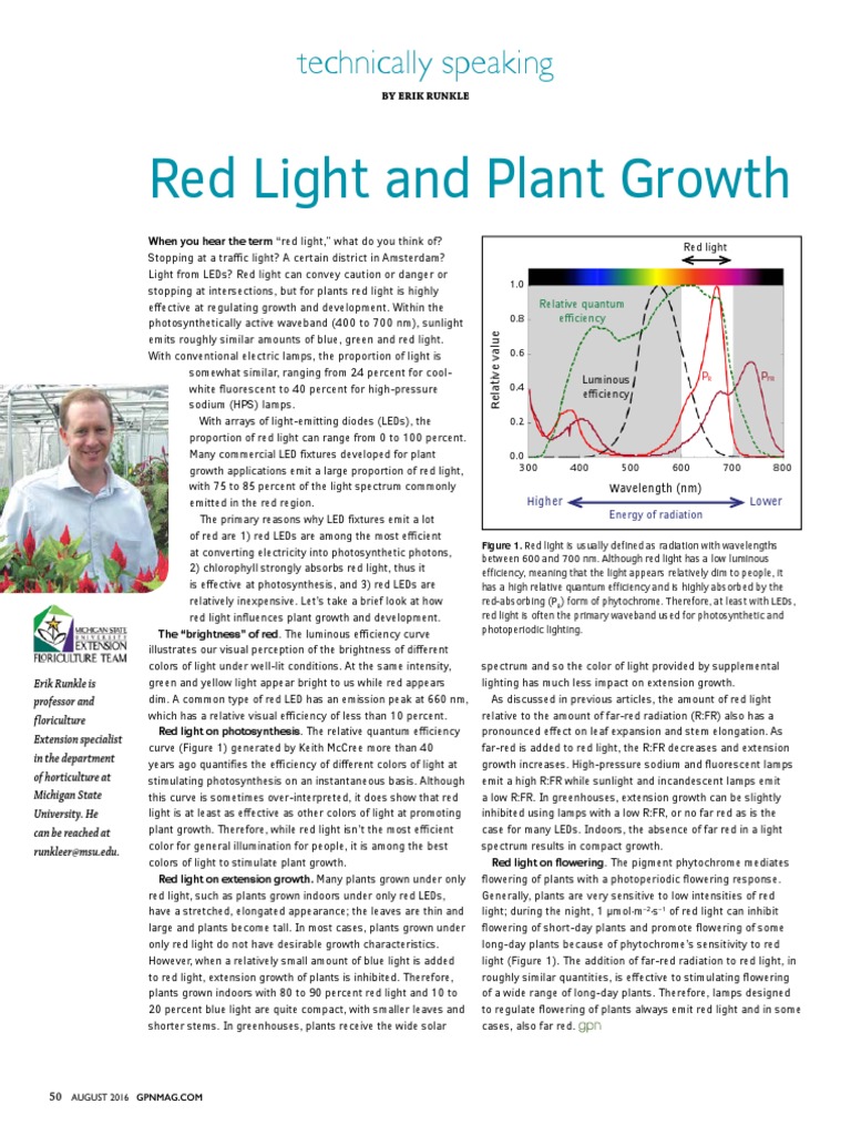 Regulating Plant Growth with Red Light: How LED Fixtures are Optimized ...