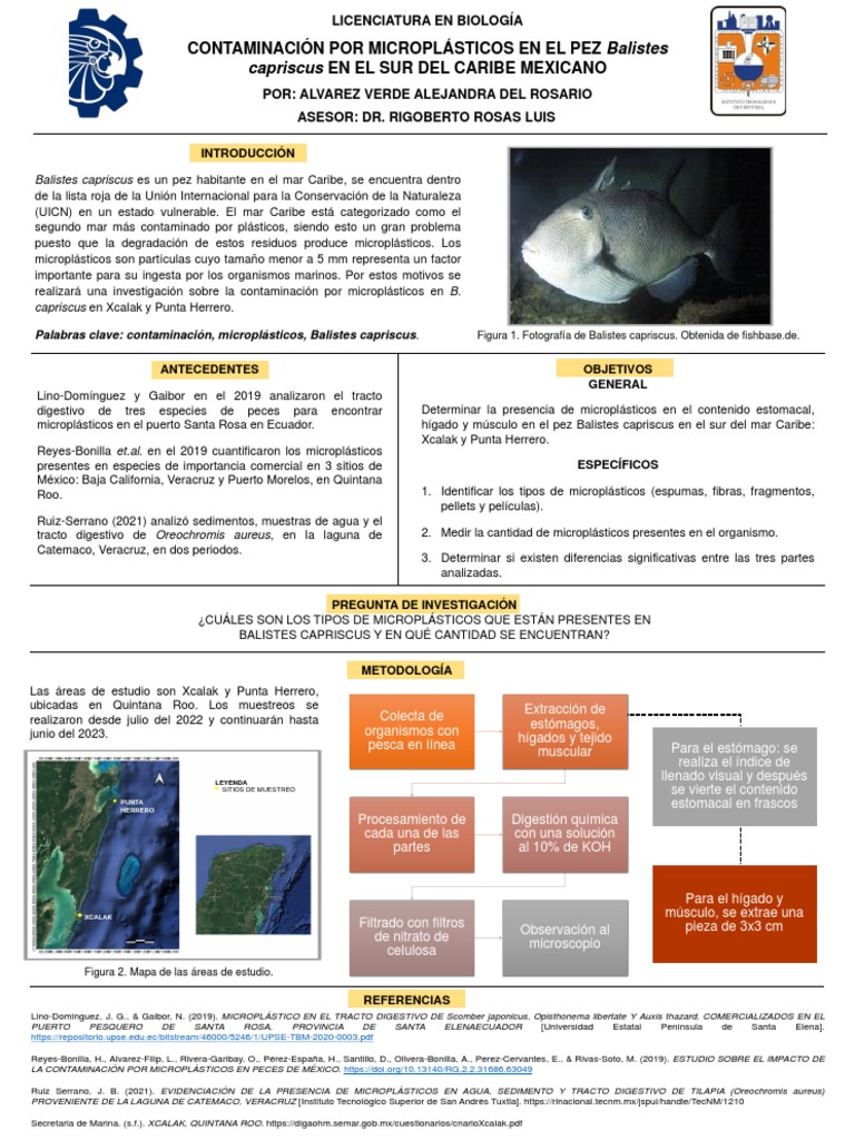 Cartel Científico | PDF | Pescado | Contaminación