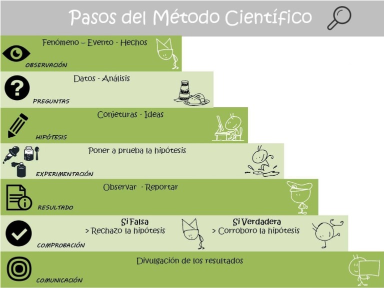 Pasos Del Método Científico | PDF