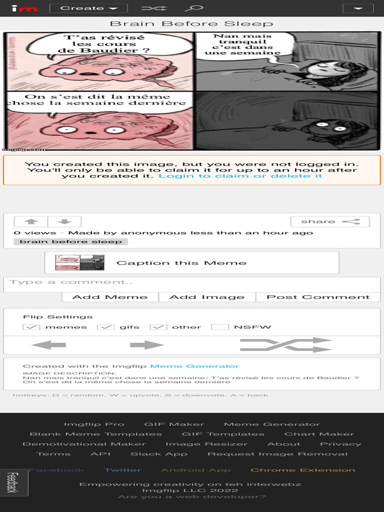 Brain Before Sleep Meme Creation | PDF