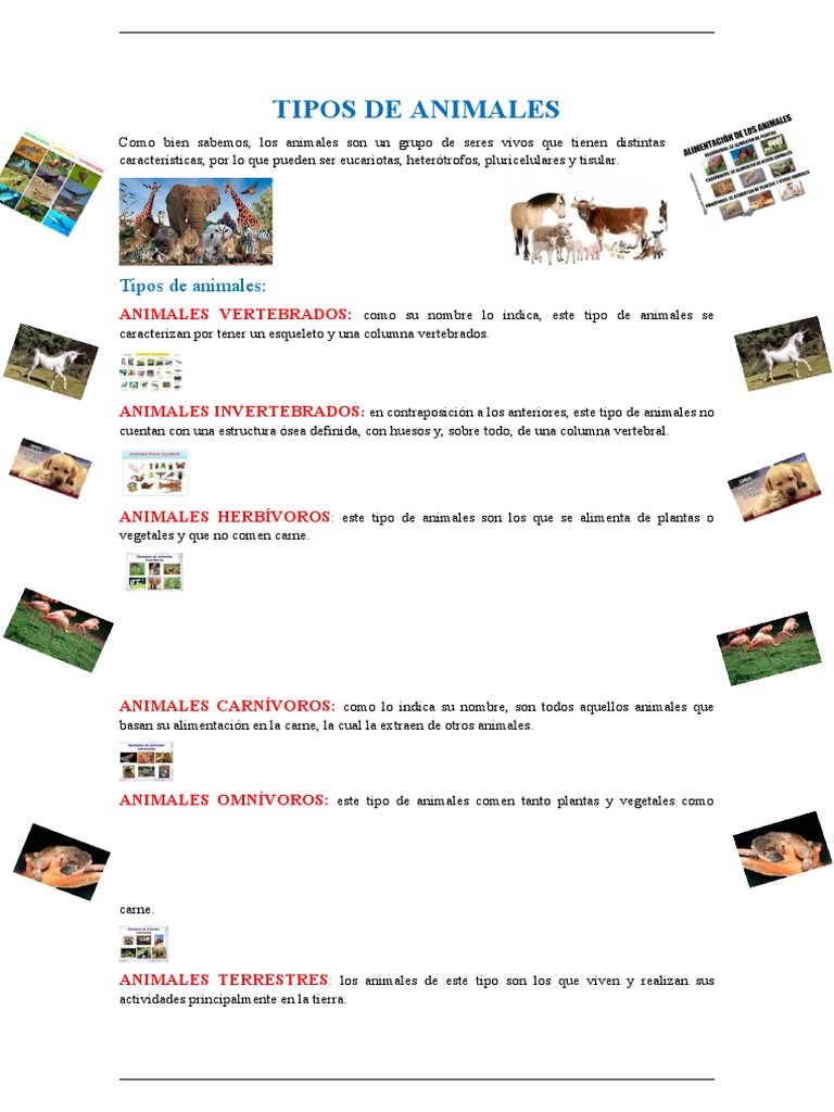 Tipos de Animales | PDF
