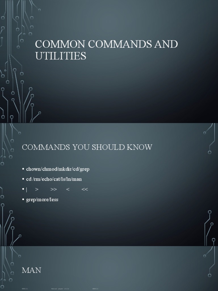 Common Commands And Utilities Pdf File System Computer File 8641