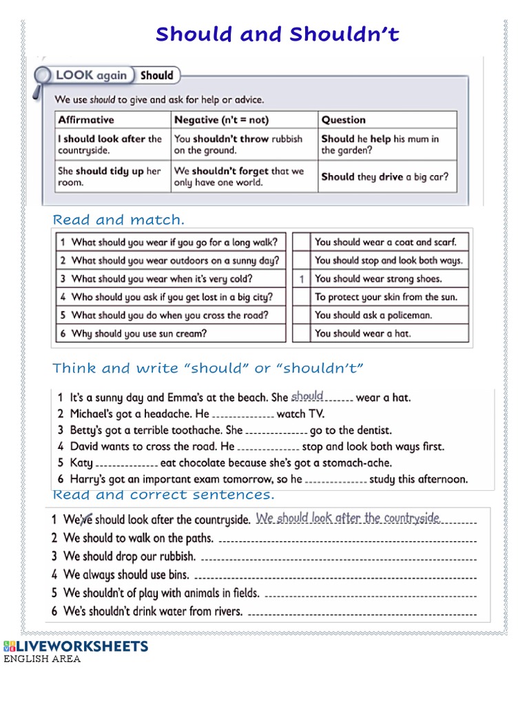 Worksheet Should and Shouldnt | PDF