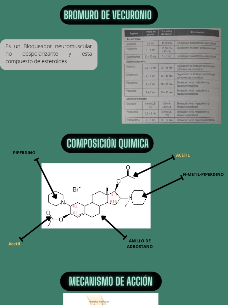 Exposición de Vecuronio | PDF