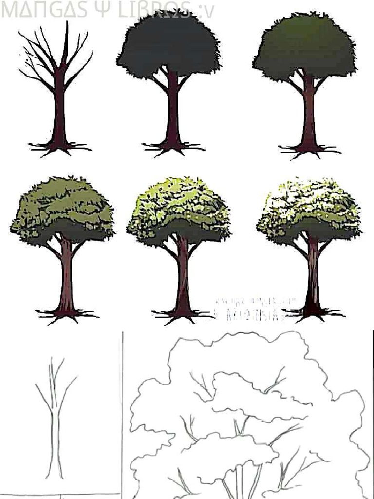 Drawing Trees | PDF