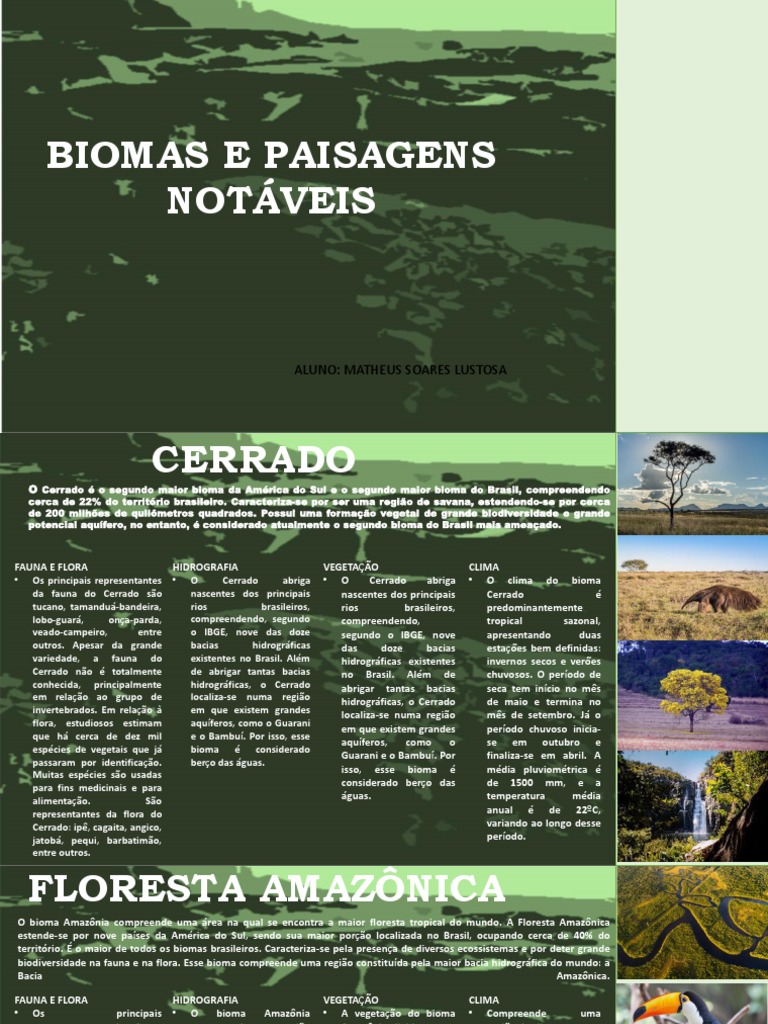 Biomas e Paisagens | Download grátis PDF | Floresta Amazônica | Florestas