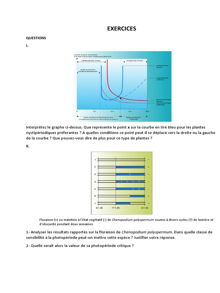 EXERCICES | PDF | Fleurs | Plantes