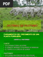 Semana 12 - El Pastoreo, Tipos de Pastoreo, Leyes Del Pastoreo Rotacional, Principios Básicos ...