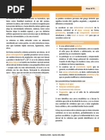 Signo de Risser | PDF | Escoliosis | Rtt