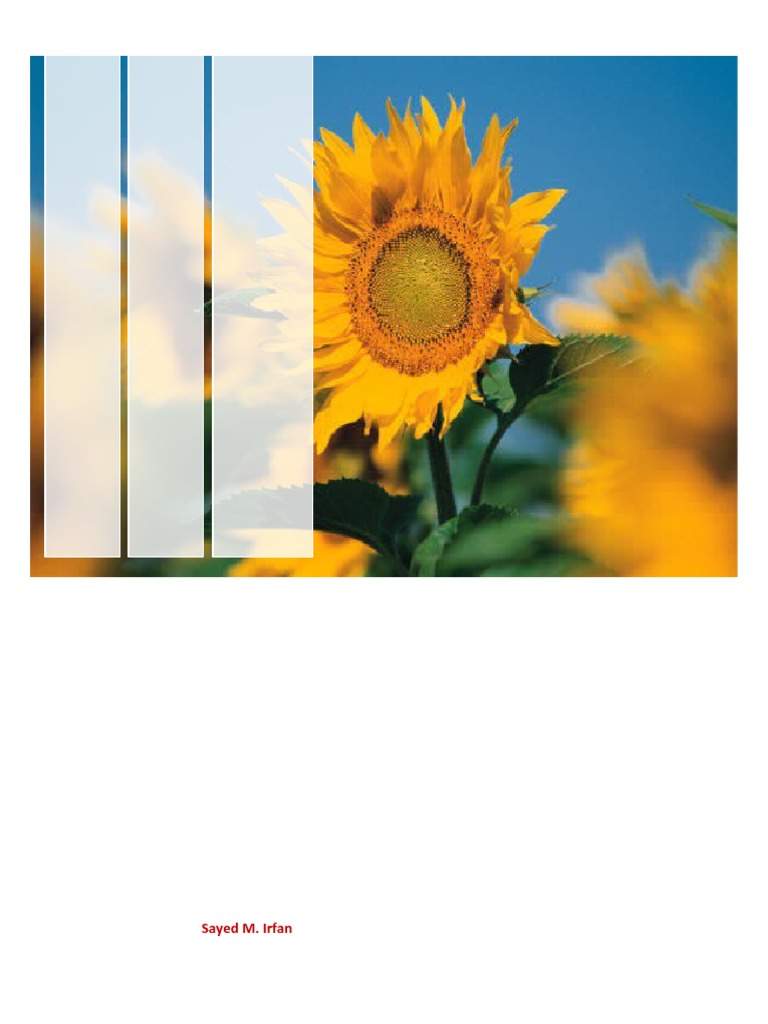 Tassaduq Hussain - Beyond The 'Charba' Myth | PDF