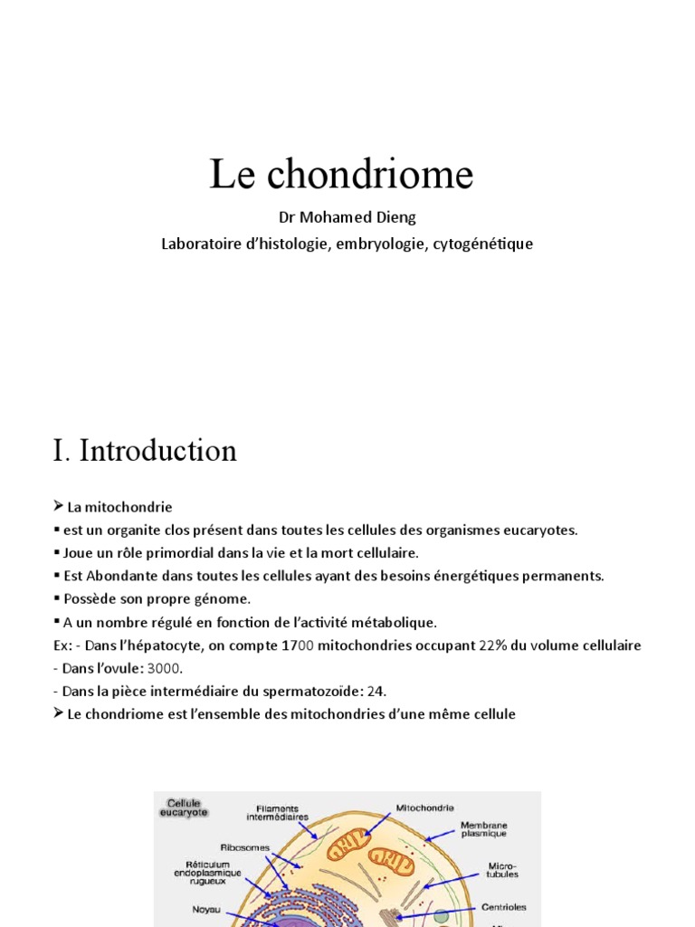 Chondriome | PDF | Mitochondrie | Cellule (Biologie)