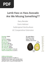 Hass Avocado Farming Guide | PDF | Grafting | Avocado