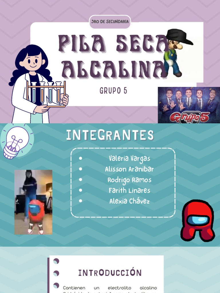 Pila Seca Alcalina | PDF | Batería (electricidad) | Química