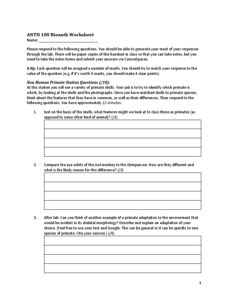 ANTH 100 Bioanth Worksheet | PDF | Pelvis
