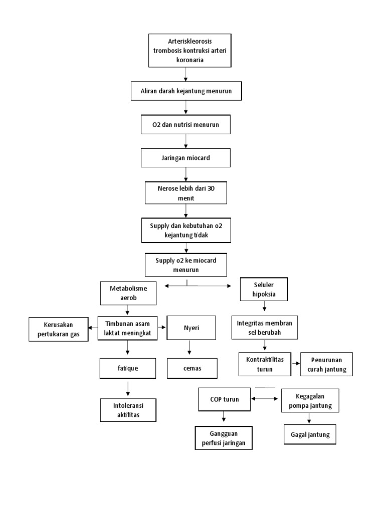 Kesakitan Jantung yang Menyakitkan: Patofisiologi Infark Miokard Akut | PDF