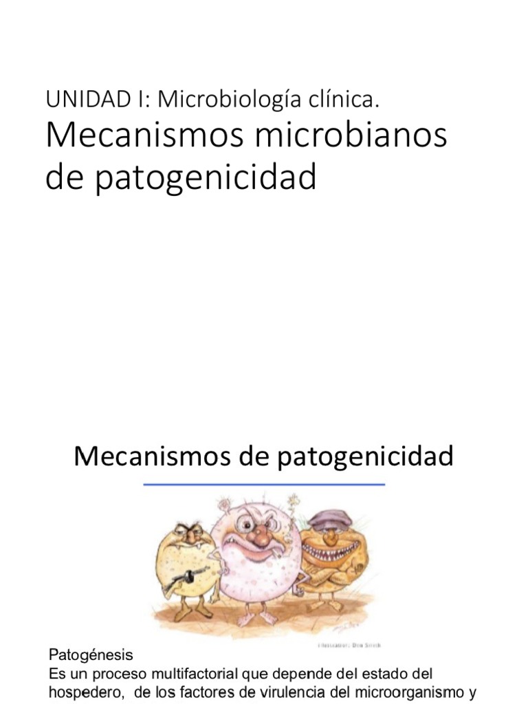 Teoria y Pruebas de Micro | PDF | Infección | Epidemiología