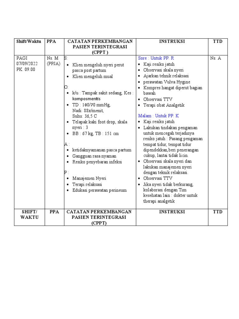 CPPT Pasca Partum. Fix | PDF