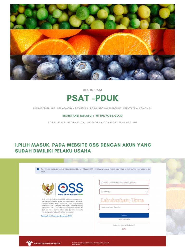 Panduan Registrasi PSAT-PDUK | PDF