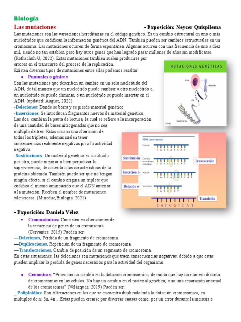 Mutaciones: tipos, causas y significado | PDF | Mutación | Mutageno