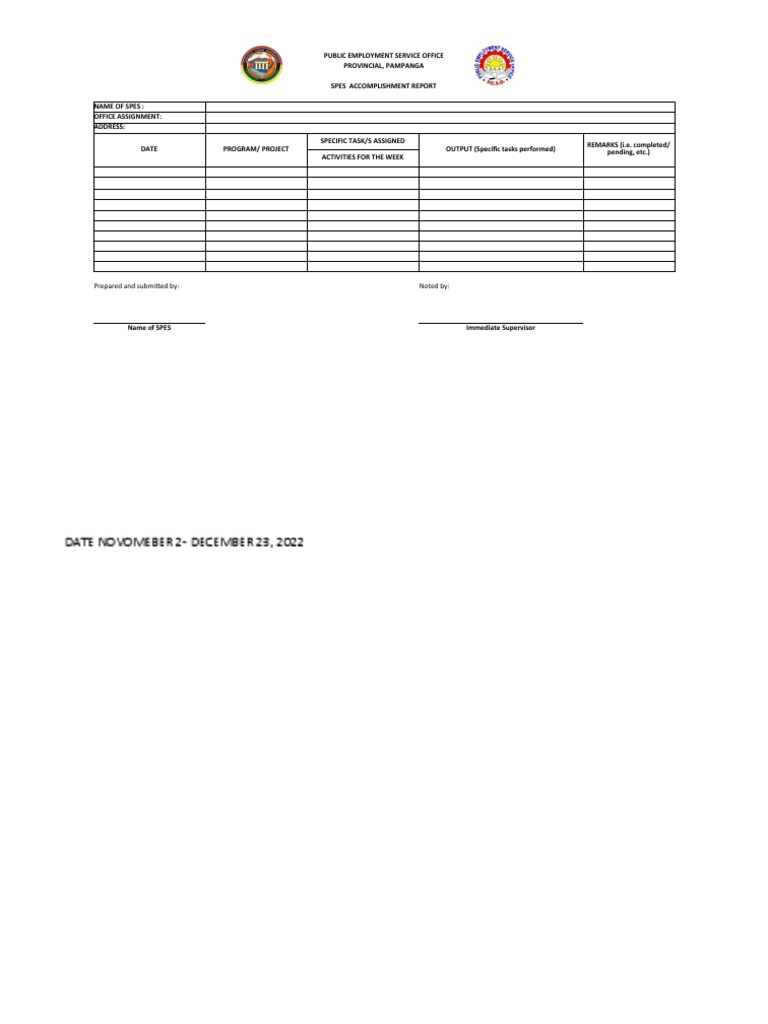 SPES Accomplishment Report 2022 | PDF