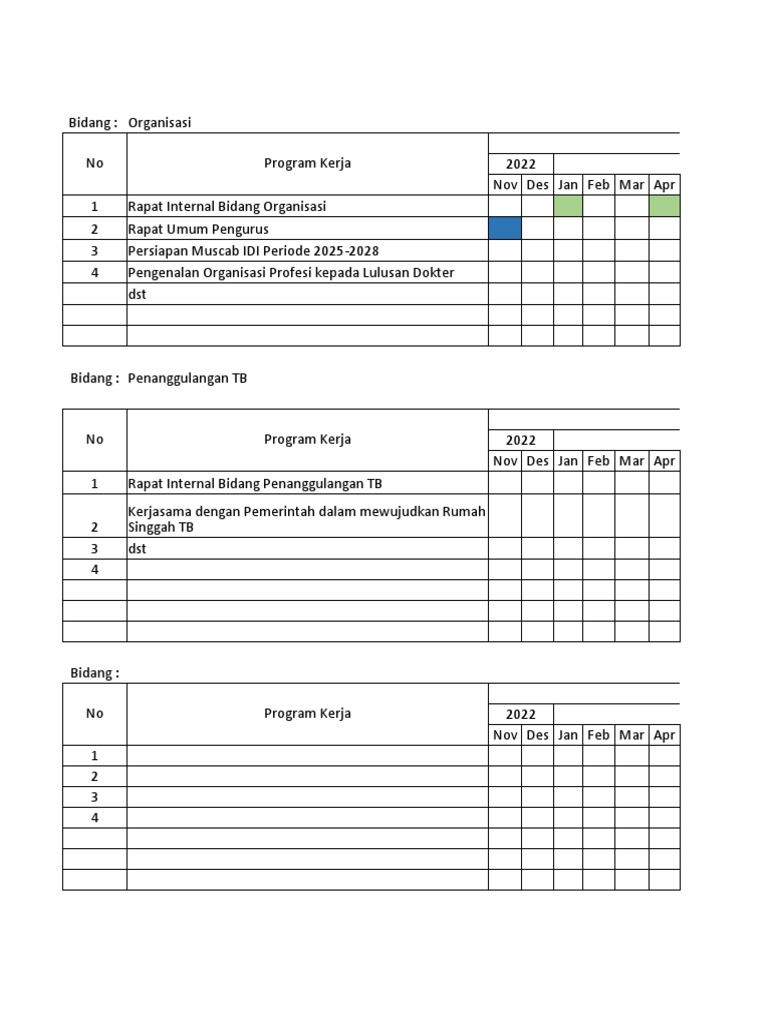 Program Kerja IDI Medan | PDF