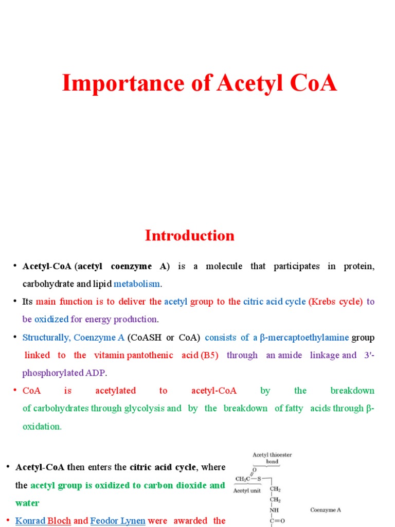 Role of Acetyl CoA in Metabolism | PDF | Diet & Nutrition | Chemistry