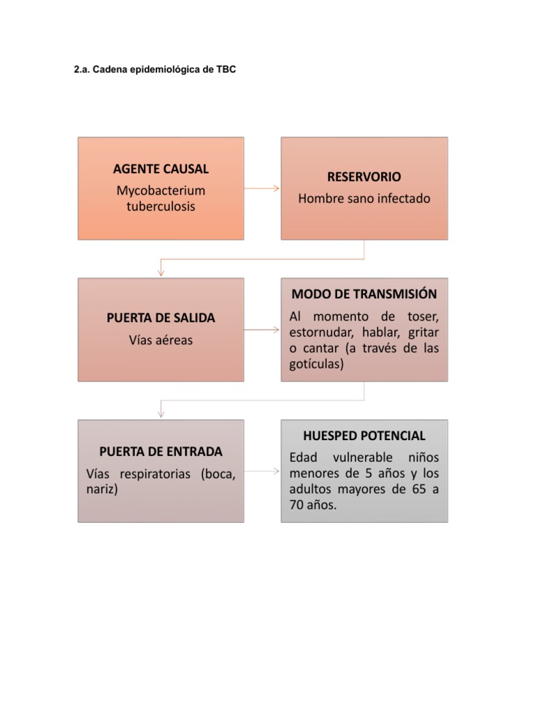 Cadena epidemiológica TBC: agente, reservorio, transmisión | PDF