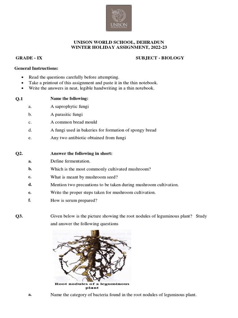 Grade Ix Biology Assignment | PDF | Pancreas