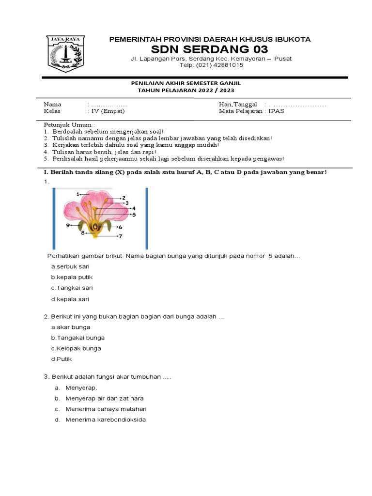 Soal Ujian IPA Kelas 4 SD | PDF