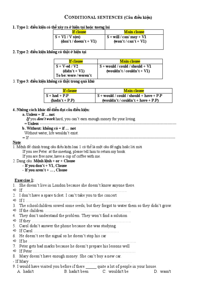 Conditional Sentences | PDF