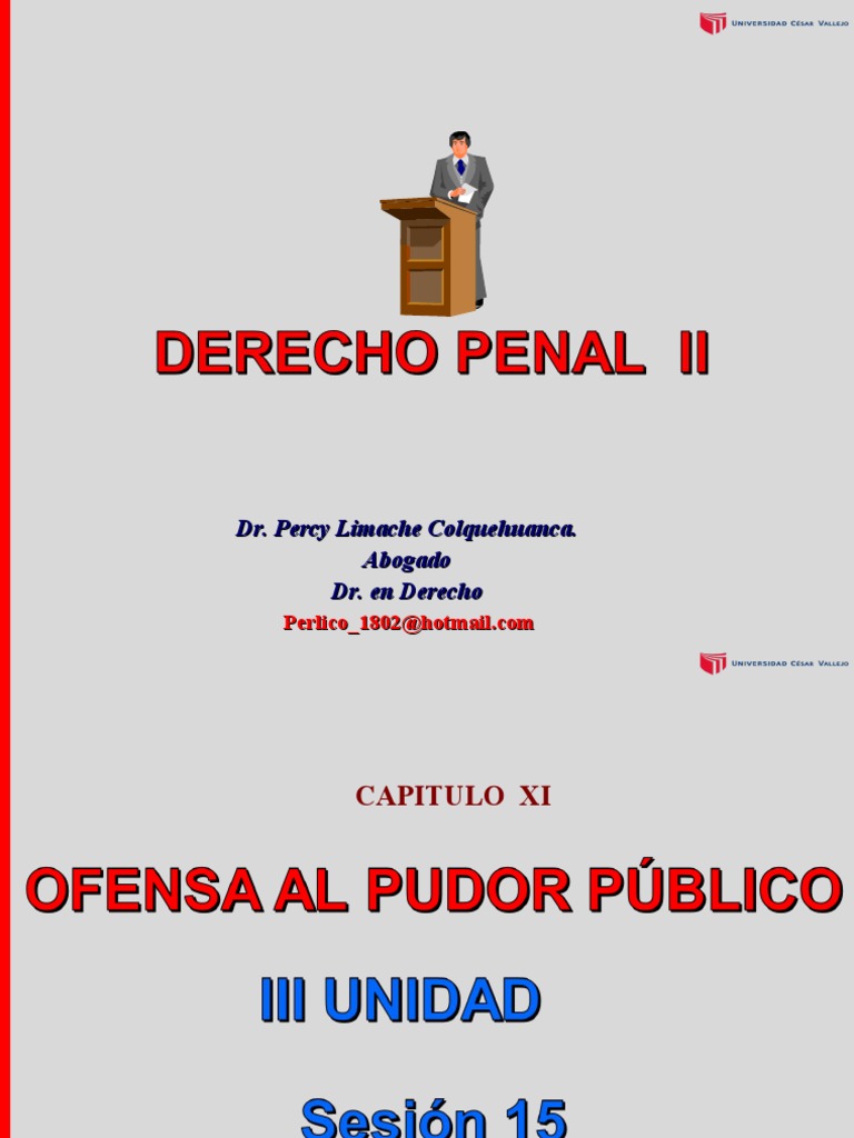 15 Ofensas Al Pudor Publico | PDF | Castigos | Crímenes