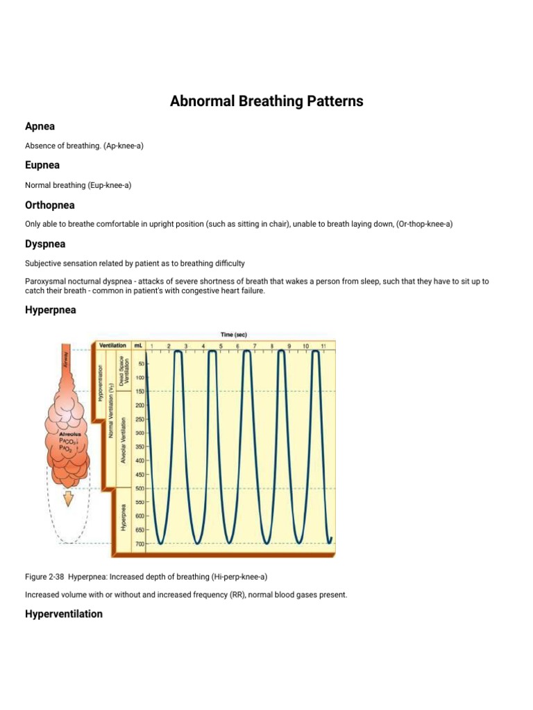 Abnormal Breathing Patterns | PDF | Breathing | Apnea