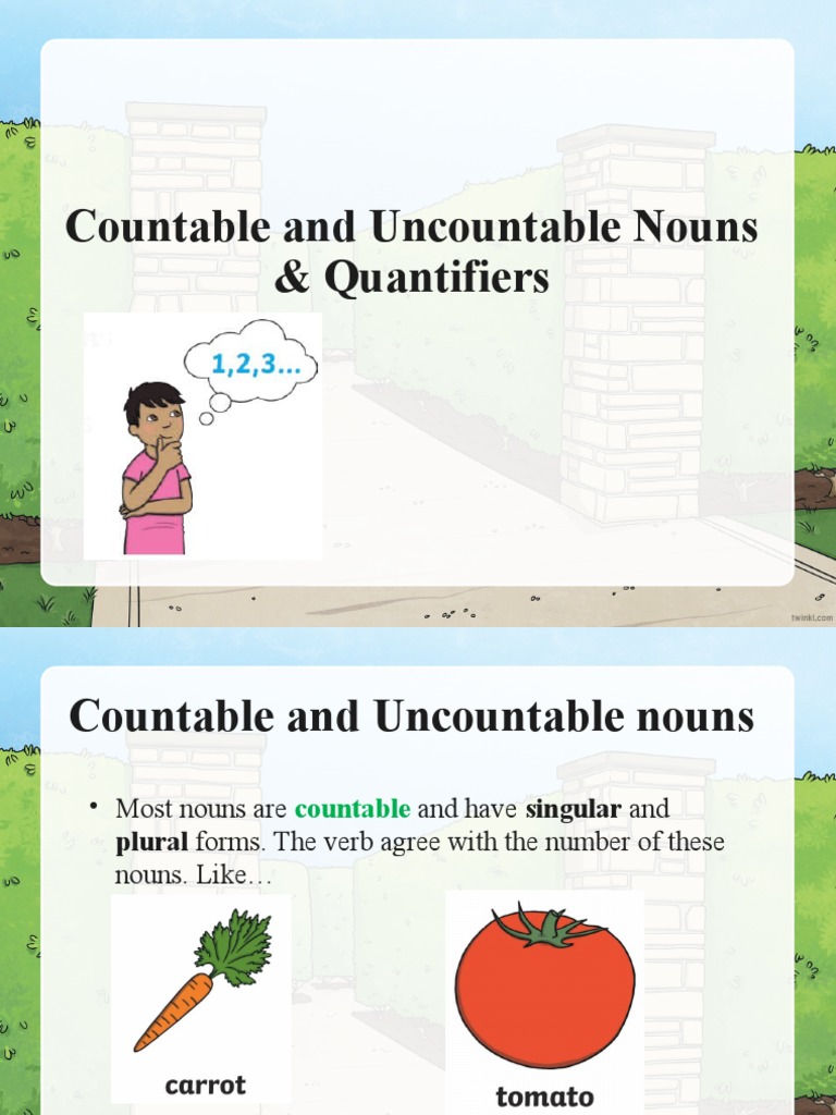 Countable and Uncountable Nouns & Quantifiers | PDF | Noun ...