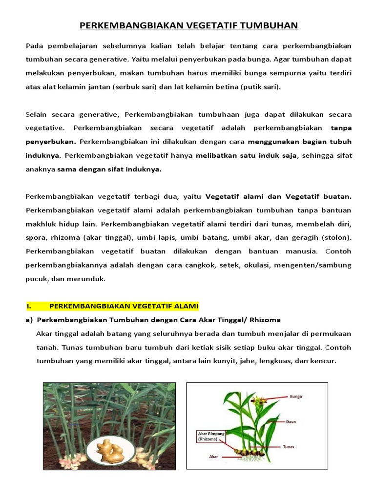 19 Juli 2022, Materi Perkembangbiakan Vegetatif Tumbuhan | PDF