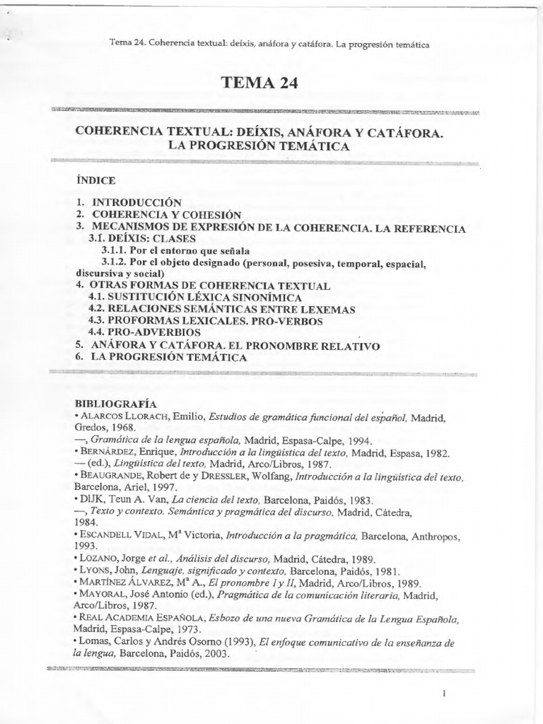 Tema 24 | PDF | Pronombre | Palabra