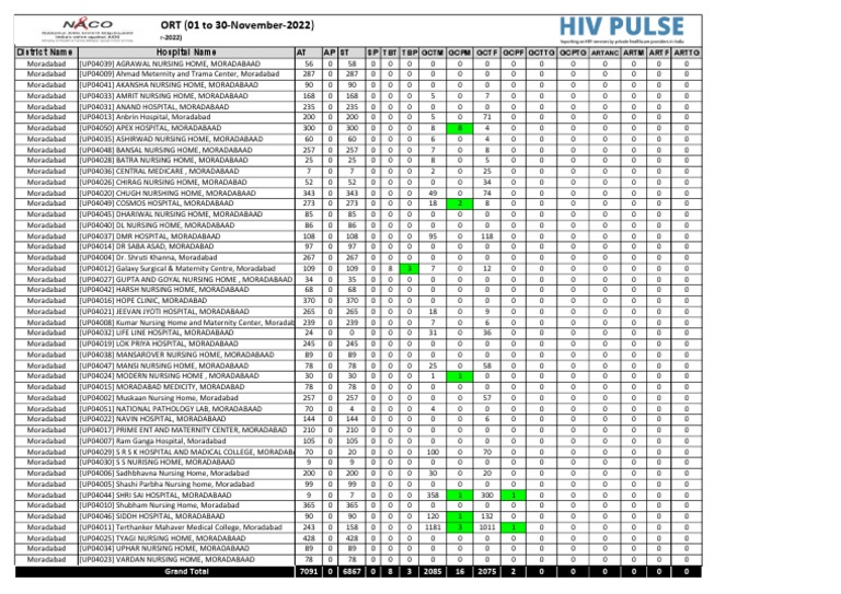 MORADABAD-HIV-PULSE Summary Report-3 | PDF | Public Services | Projects