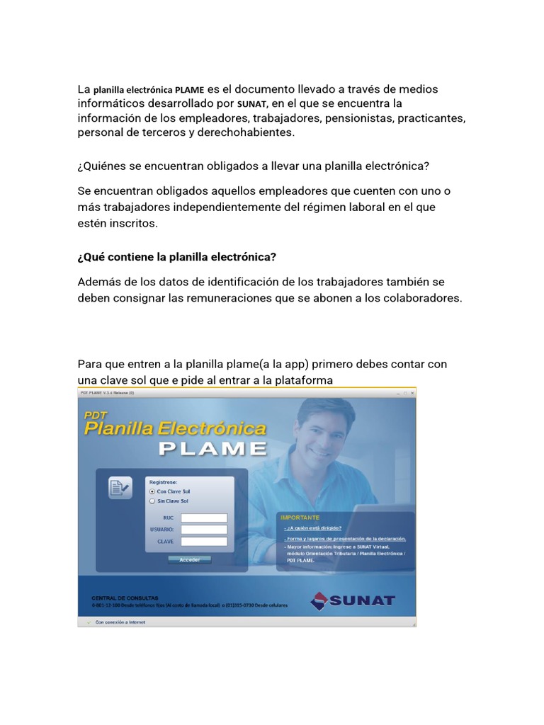 Guía sobre la Planilla Electrónica PLAME | PDF