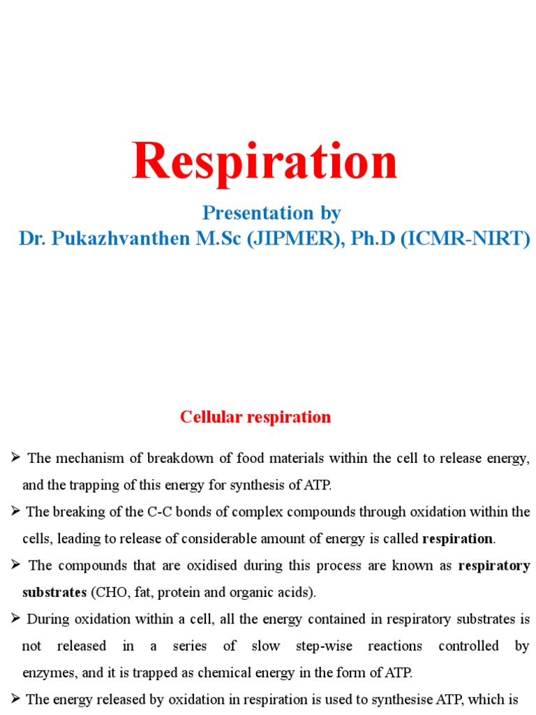 Respiration in Plants | PDF | Cellular Respiration | Electron Transport ...