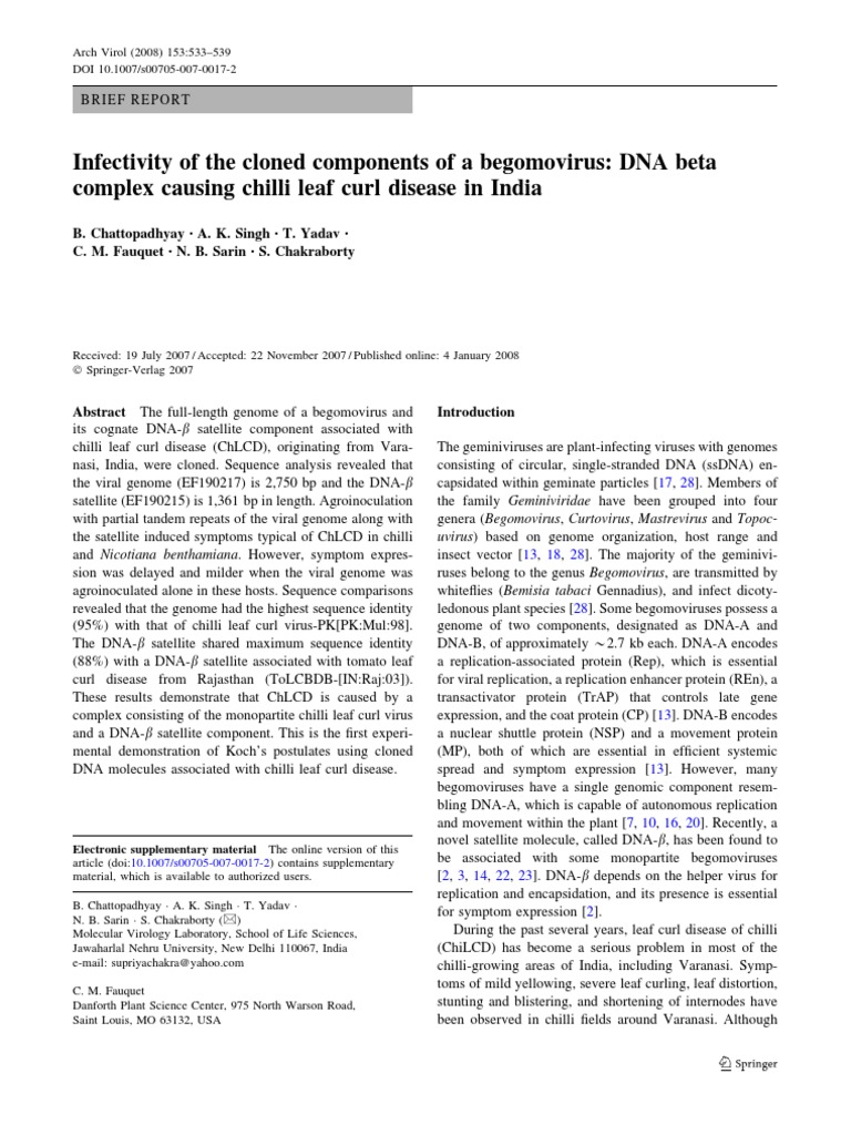 Chilli Leaf Curl Virus Infectivity Study | PDF | Dna Sequencing ...