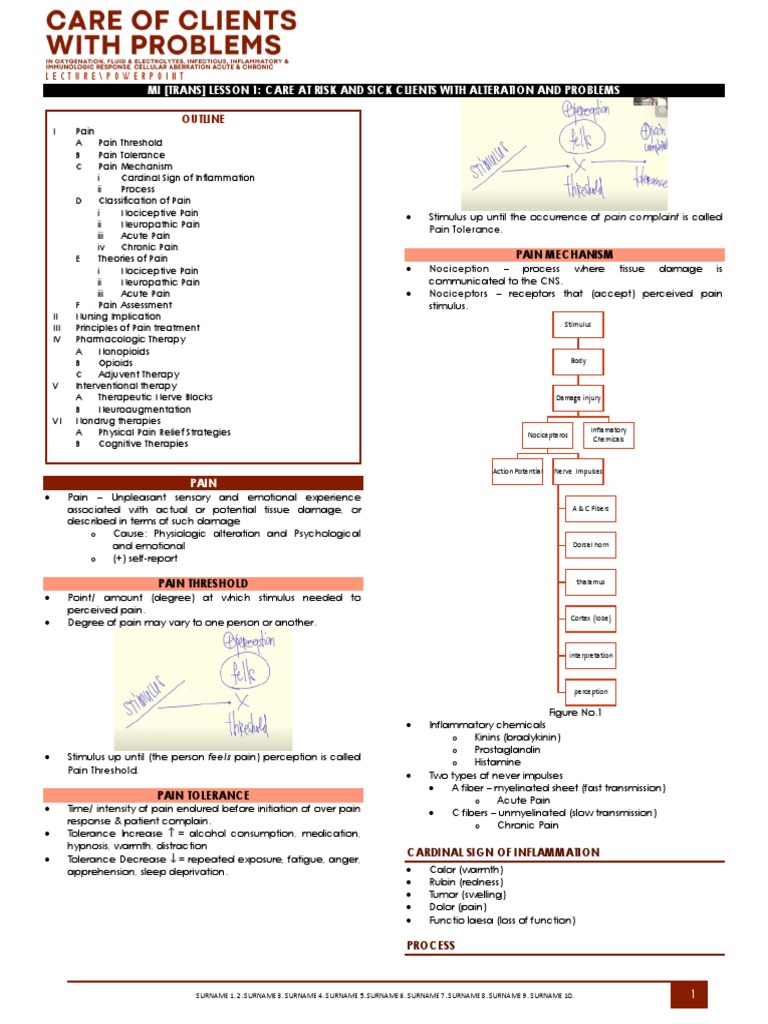 BSN3 2 Med Surg Lesson No.1 Pain | PDF | Pain | Pain Management