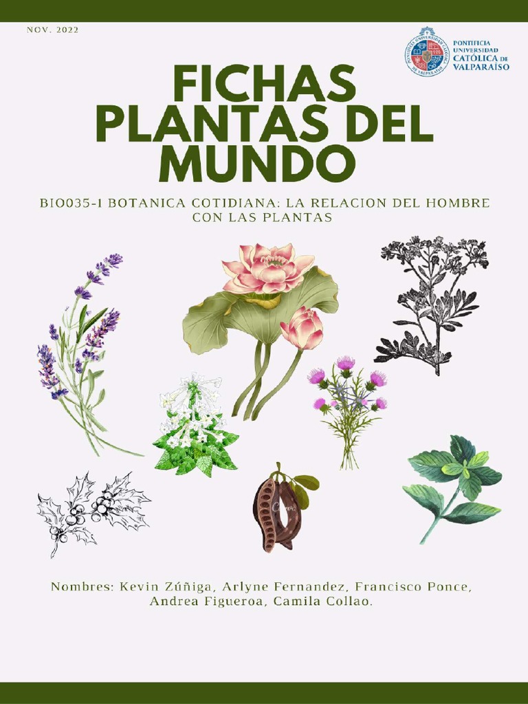 Fichas Plantas Del Mundo | PDF