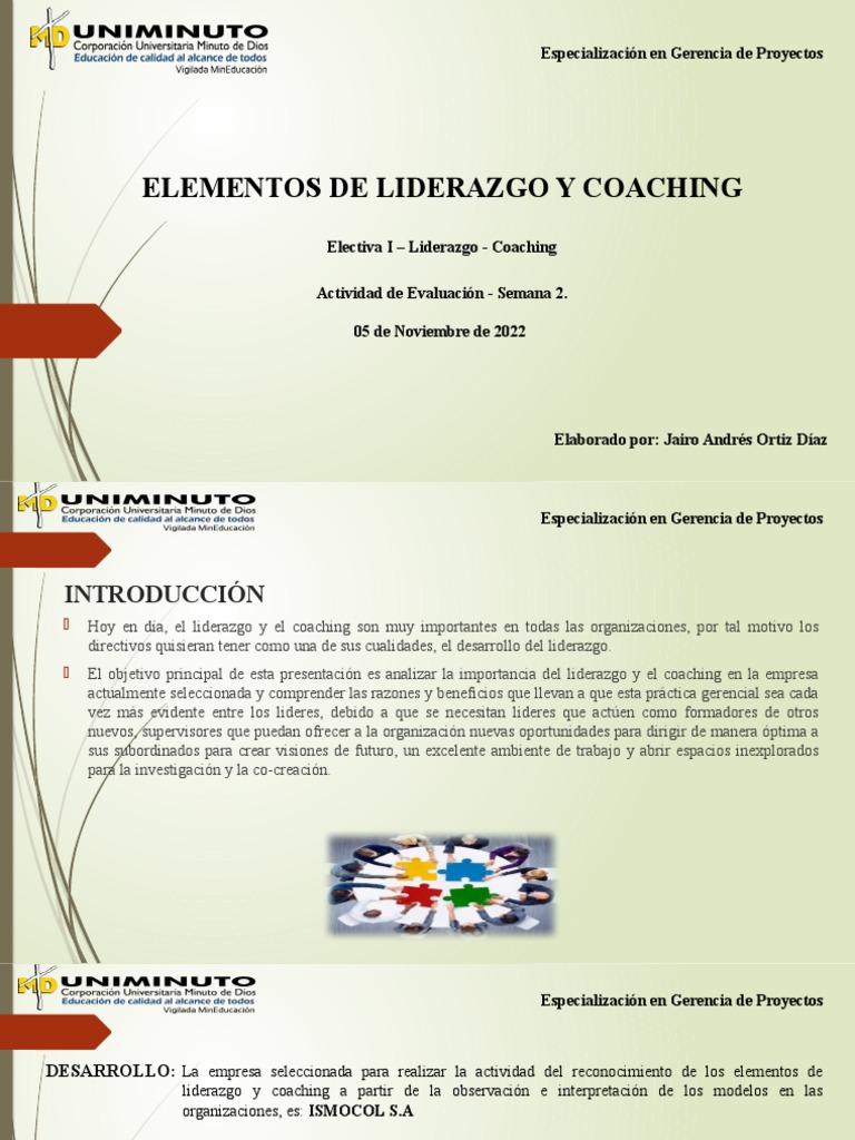 Ortiz Jairo Elementos Liderazgo Coaching | PDF | Liderazgo | Economias