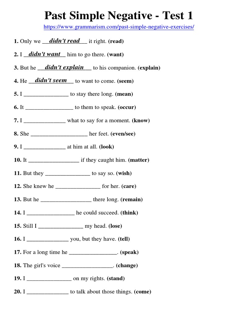 Grammarism Past Simple Negative Test 1 1042091 | PDF