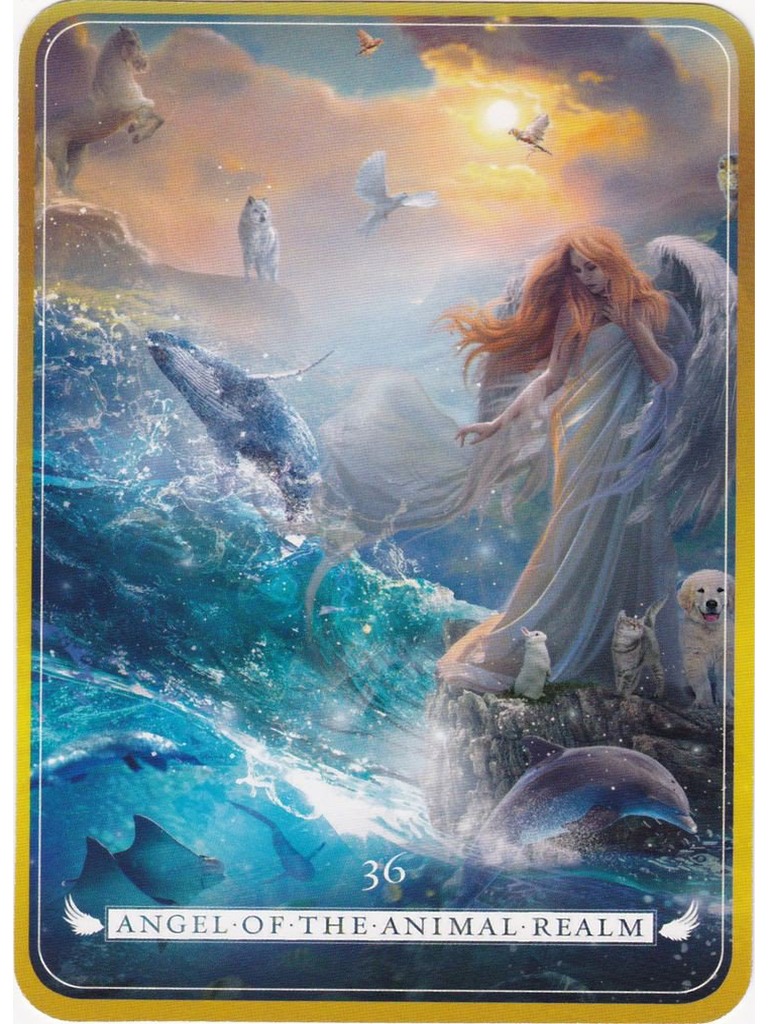 Oracle Cards Deck Complete | PDF