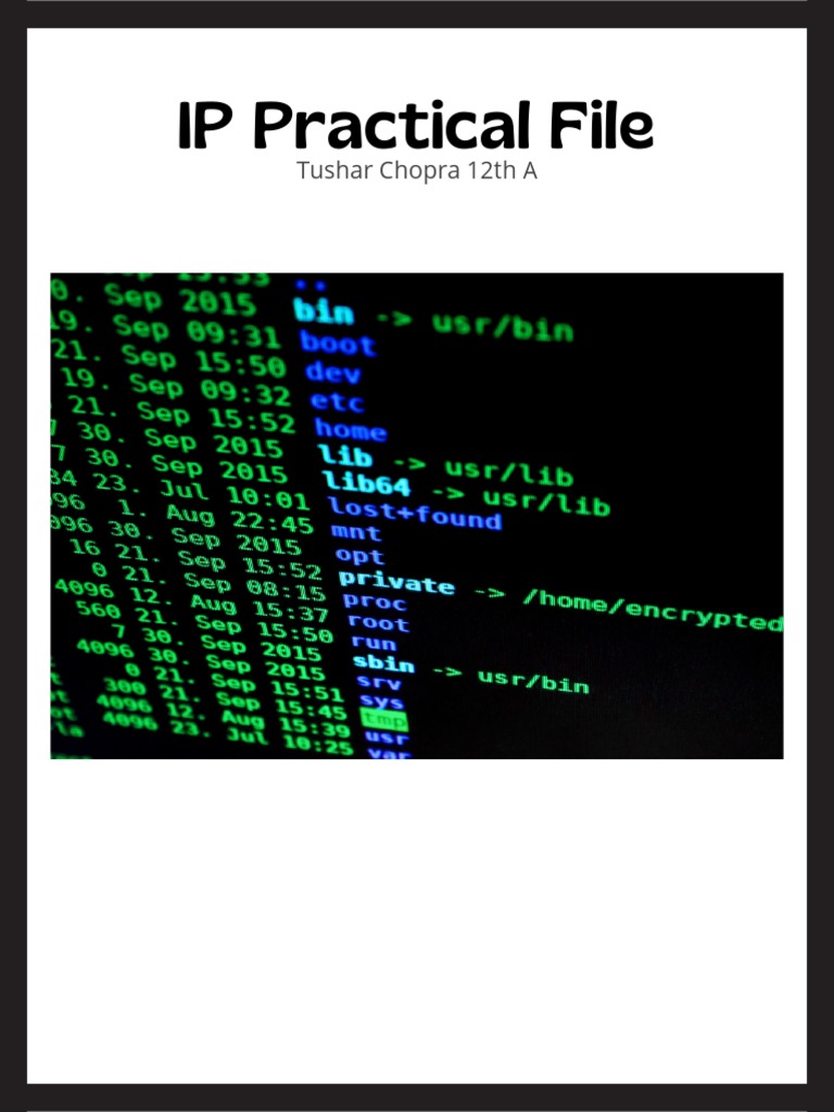 Informatics Practices CBSE Project File Class 12 | PDF | Computer Programming | Data Management ...