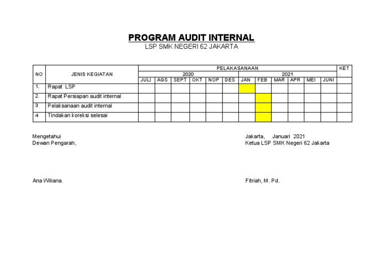 Program Audit Internal | PDF