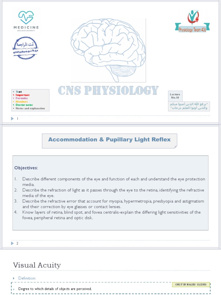 10 - Accommodation & Pupillary Light Reflex | PDF | Visual System ...