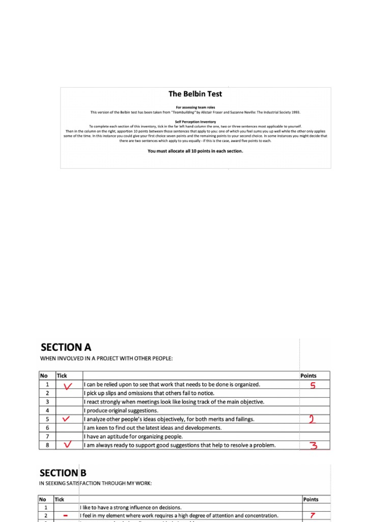 Belbin Test | PDF