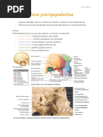 Fosa Pterigoidea y Pterigopalatina | PDF | Sistema esquelético ...