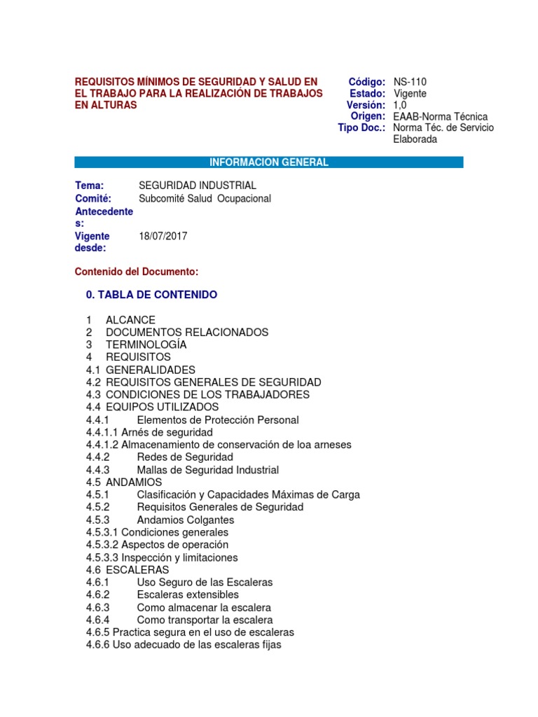 NS-110 Trabajos en Alturas | PDF | Andamio